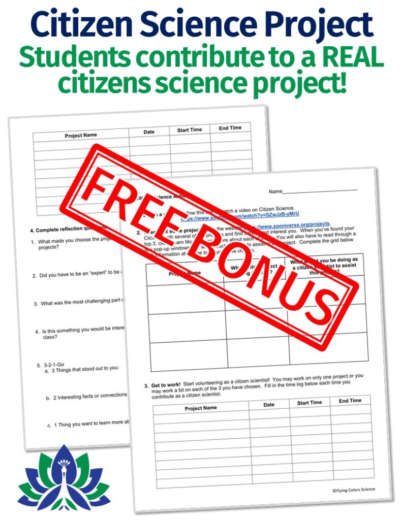 Scientific Method Worksheet and Activity BUNDLE - Flying Colors Science