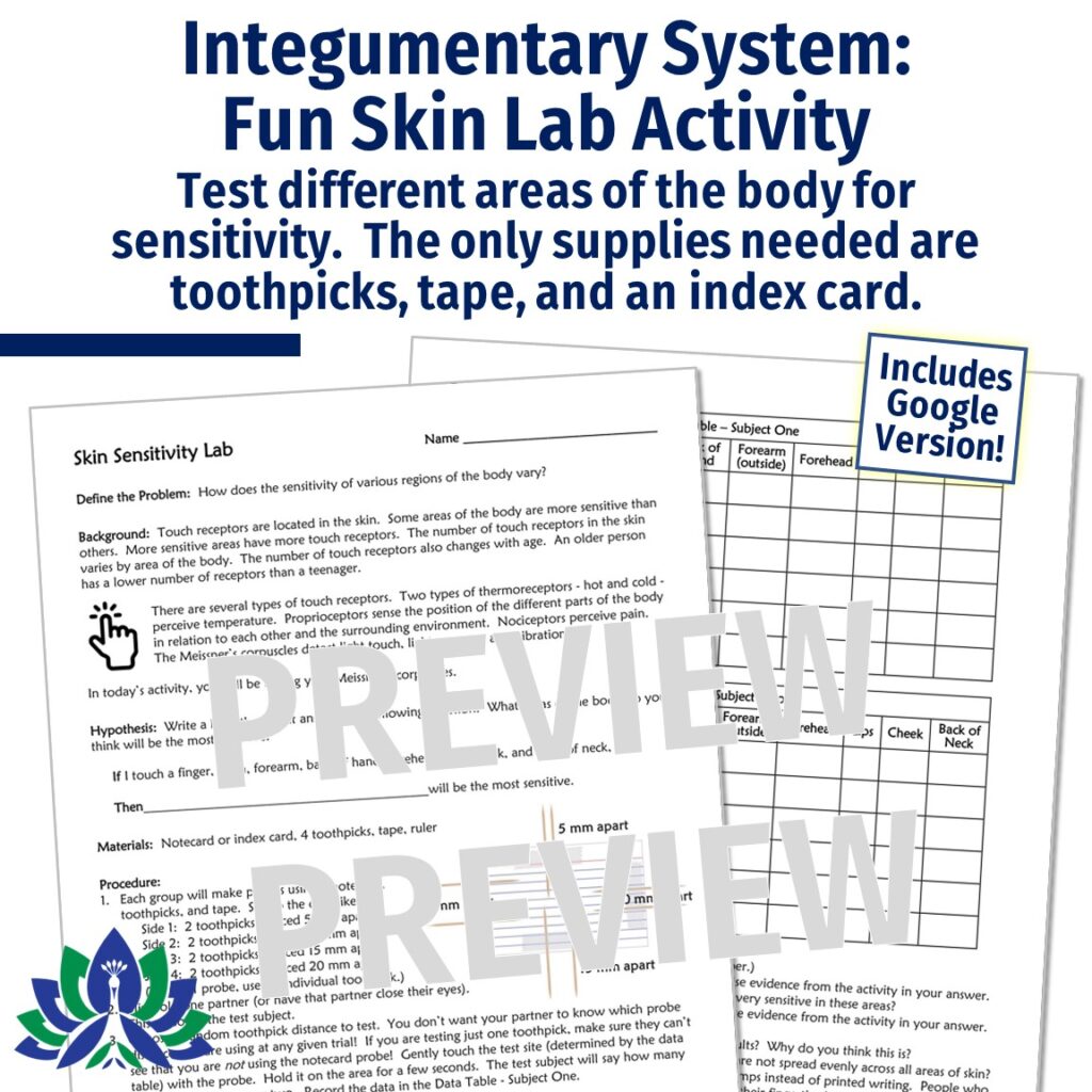 Human Body Organ Systems Activity BUNDLE - Flying Colors Science