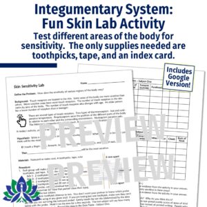 Human Body Organ Systems Activity BUNDLE - Flying Colors Science