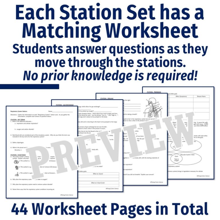 Human Body Organ Systems Stations Activities (Set of 10) - Flying ...