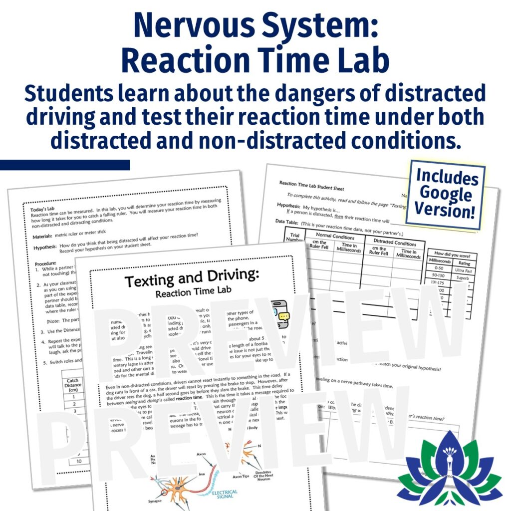 Human Body Organ Systems Activity BUNDLE - Flying Colors Science