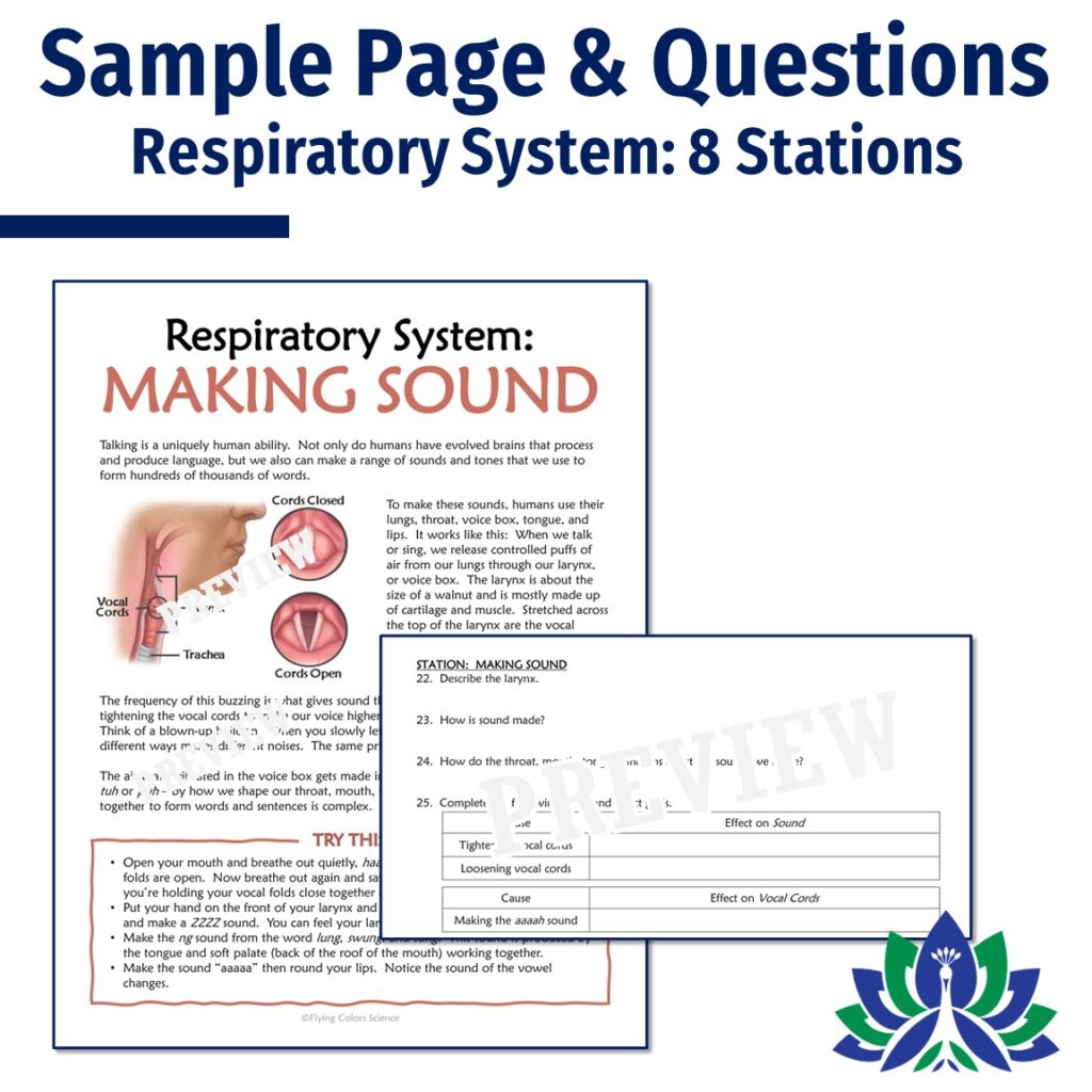 Human Body Organ Systems Stations Activities (Set of 10) - Flying ...