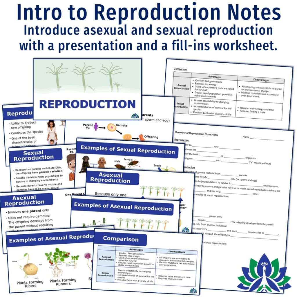 Asexual and Sexual Reproduction Notes and Quiz - Flying Colors Science