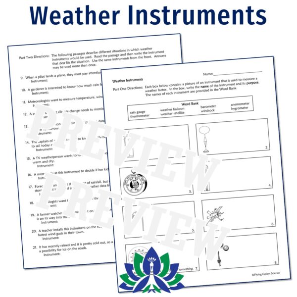 Weather Worksheets (Set of 4) - Flying Colors Science