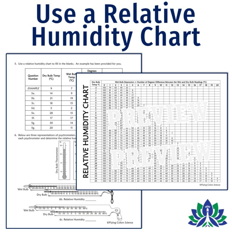 Relative Humidity Worksheet - Flying Colors Science
