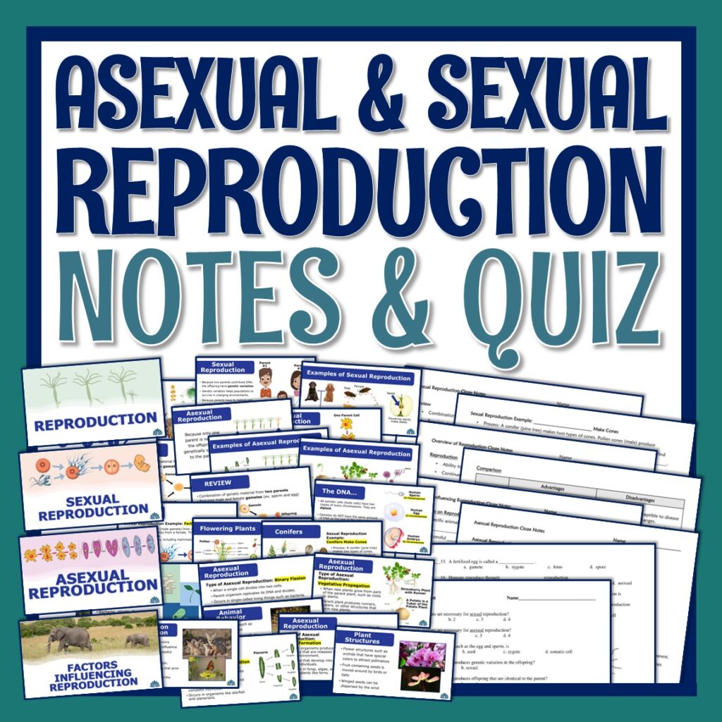 Asexual and Sexual Reproduction Notes and Quiz - Flying Colors Science
