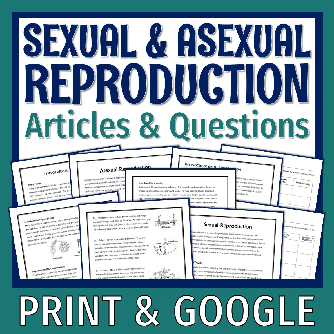 Asexual and Sexual Reproduction Readings and Worksheets - Flying Colors ...