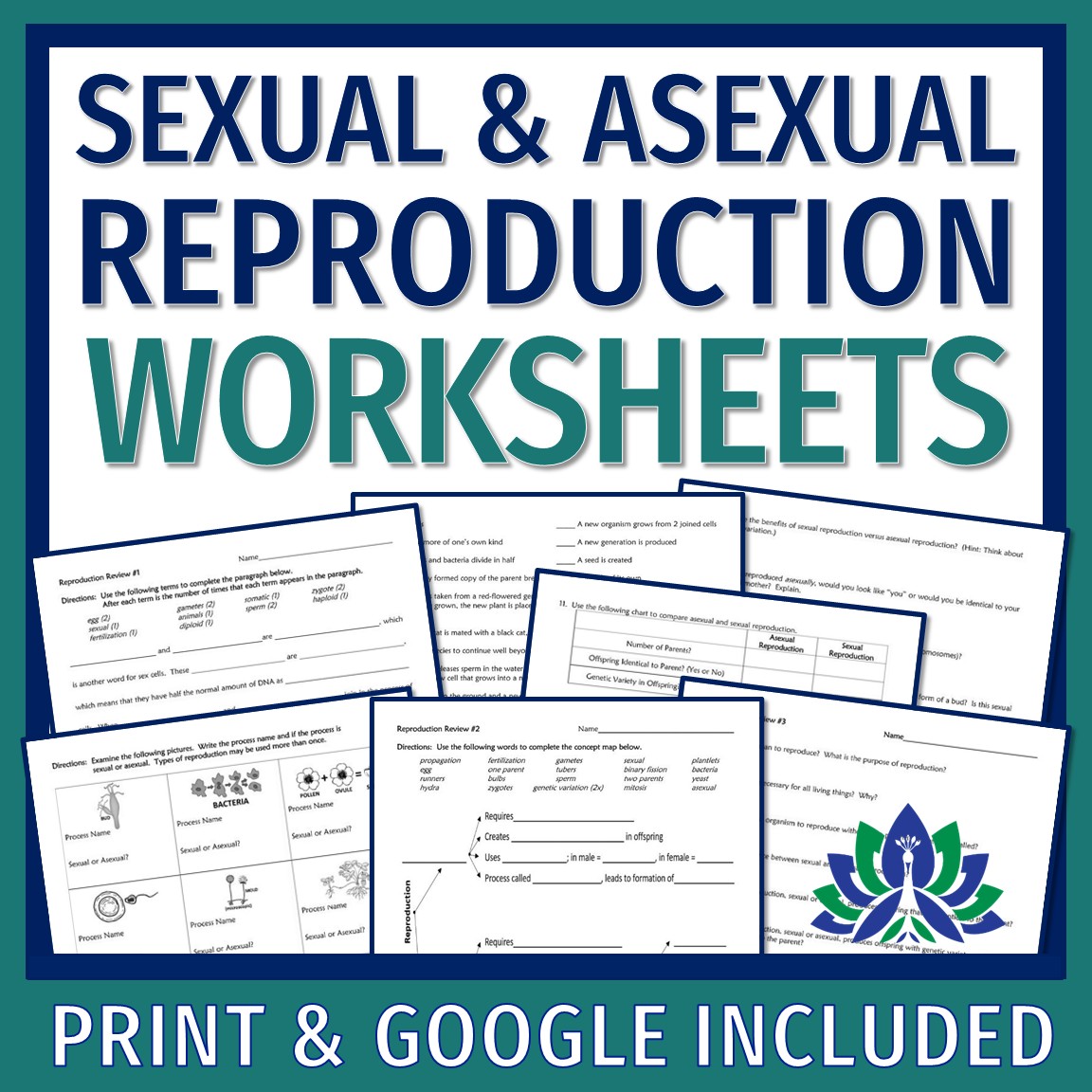Sexual and Asexual Reproduction Worksheets (Set of 3) - Flying Colors ...