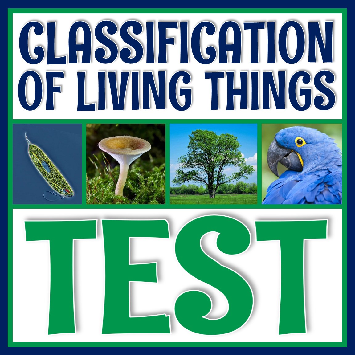 Classification of Living Things Test - Flying Colors Science