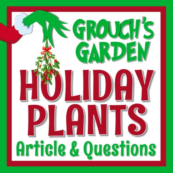 Christmas Science Activity: Plants of the Holiday Article - Flying ...