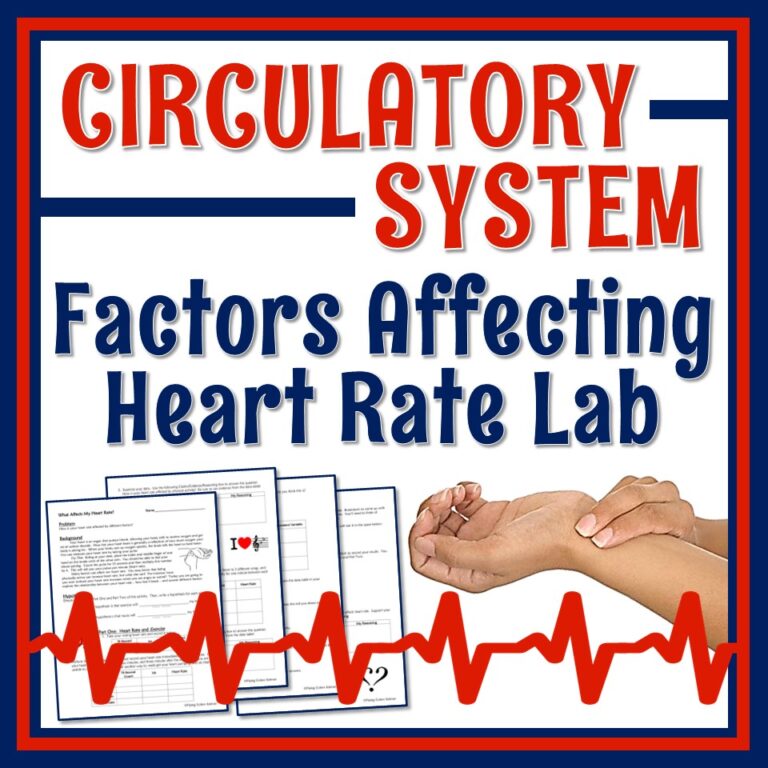 Circulatory System Heart Rate Lab Flying Colors Science Circulatory System Heart Rate Lab Flying Colors Science