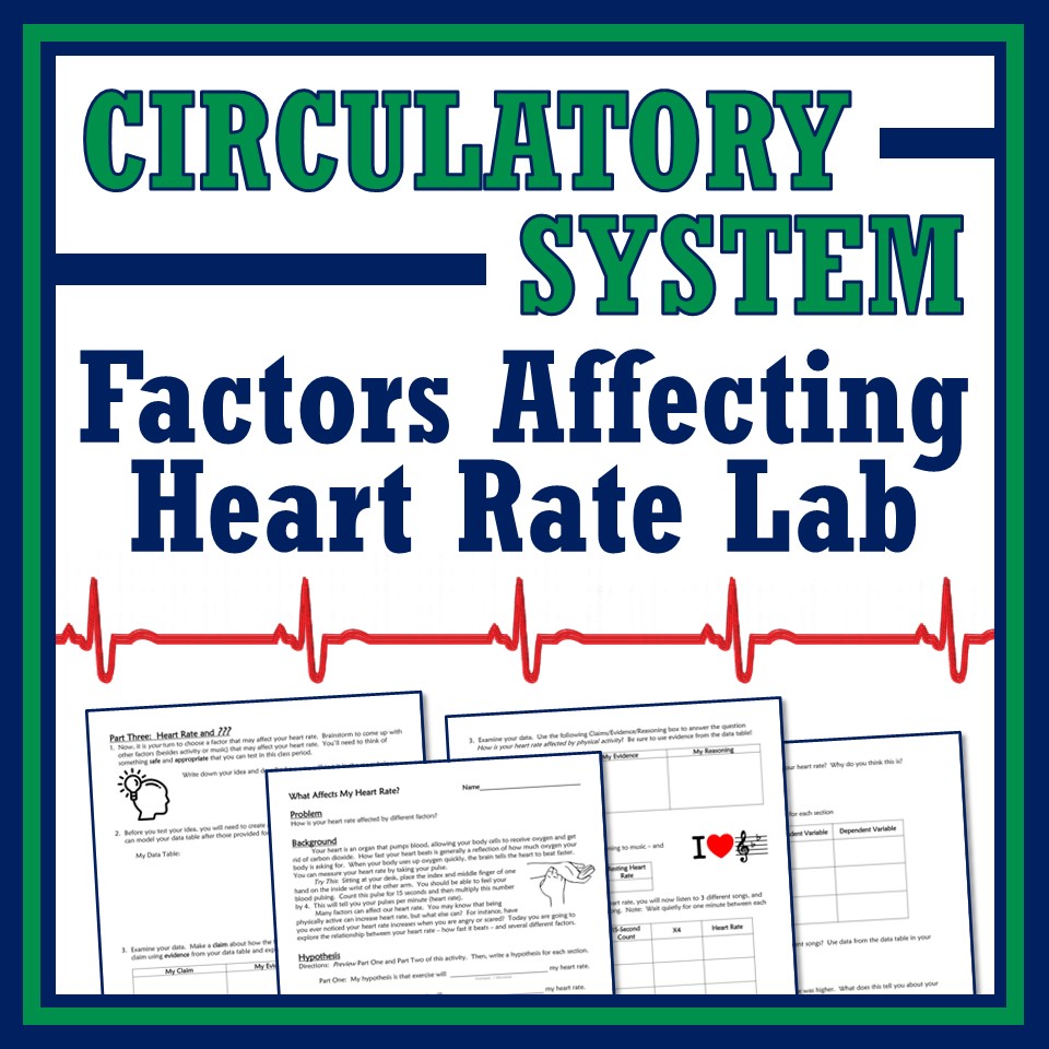 Circulatory System Heart Rate Lab Activity Flying Colors Science Circulatory System Heart Rate Lab Activity Flying Colors Science