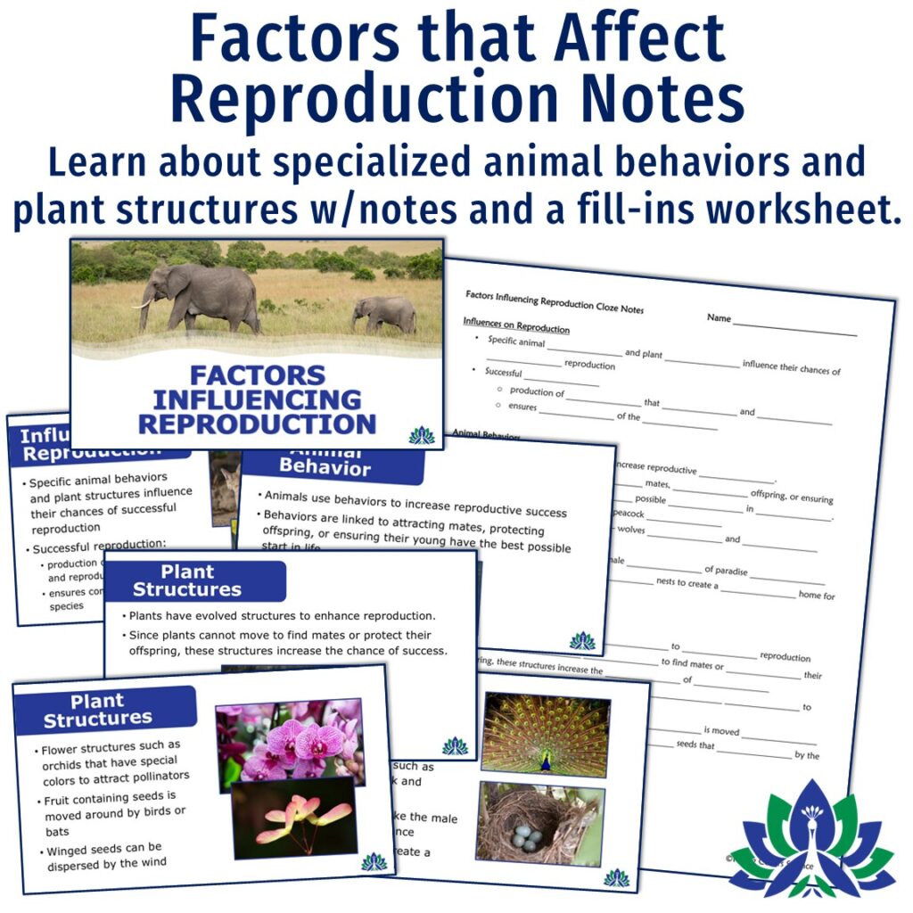Asexual and Sexual Reproduction Notes and Quiz - Flying Colors Science