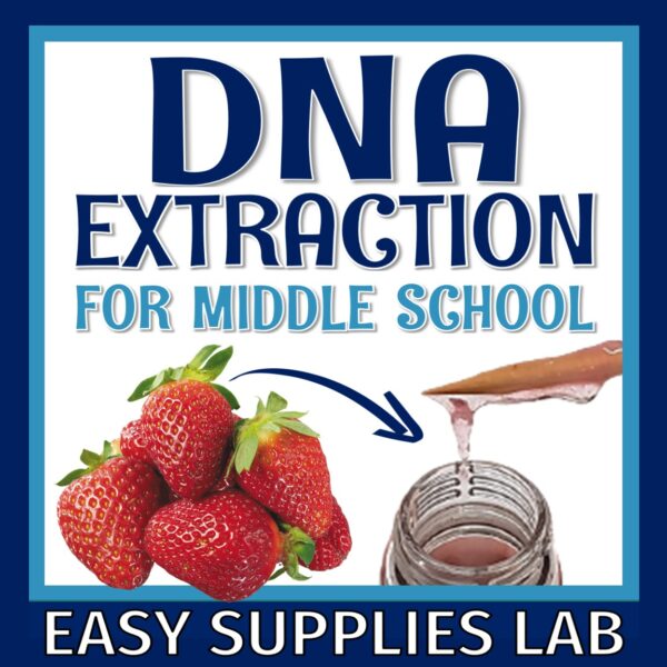 Strawberry DNA Lab - Flying Colors Science