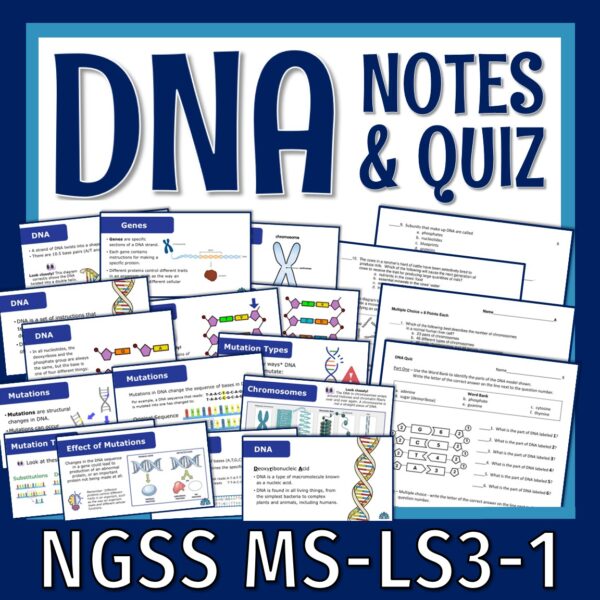 Middle School DNA Notes and Quiz - Flying Colors Science