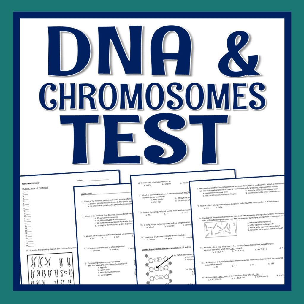 Chromosomes and DNA Test - Flying Colors Science