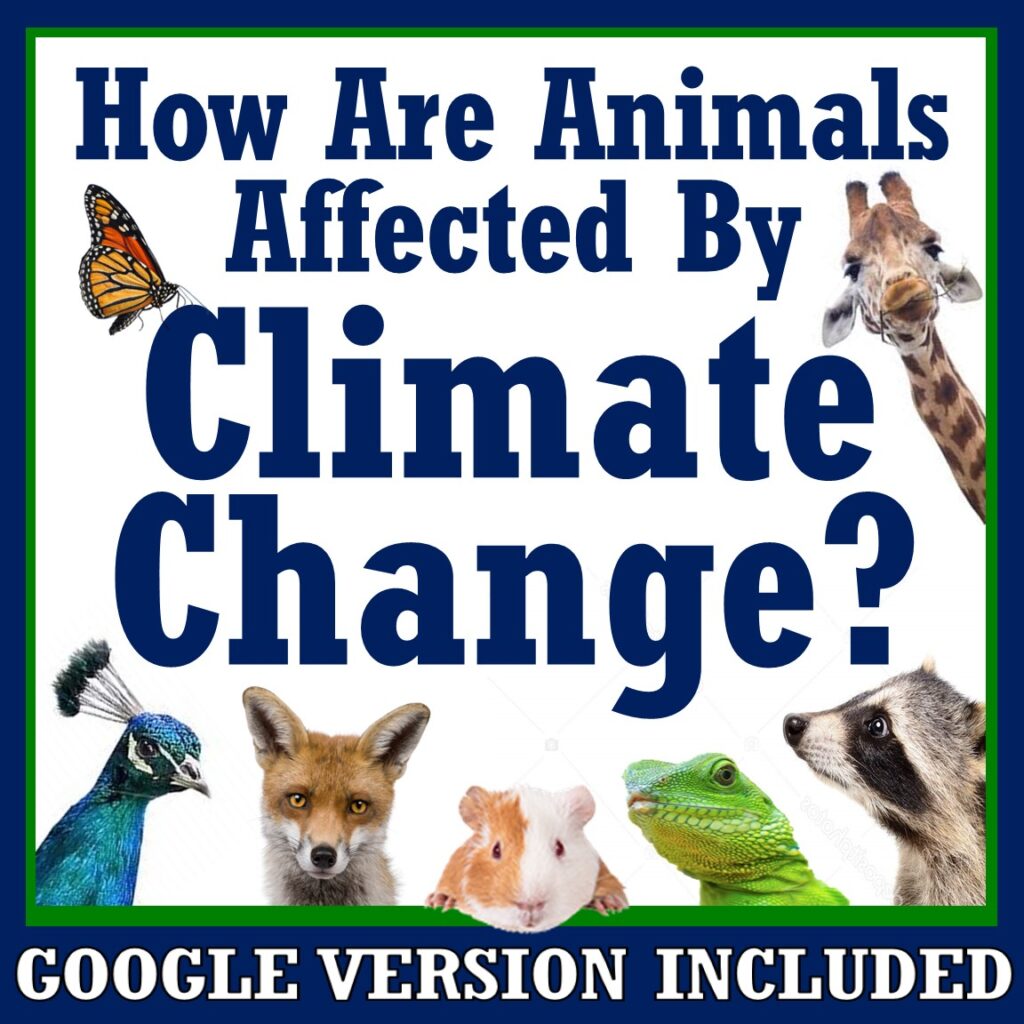 Effects of Climate Change on Animals Article and Worksheet - Flying ...