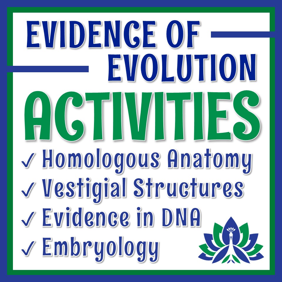 Evolution Archives - Flying Colors Science