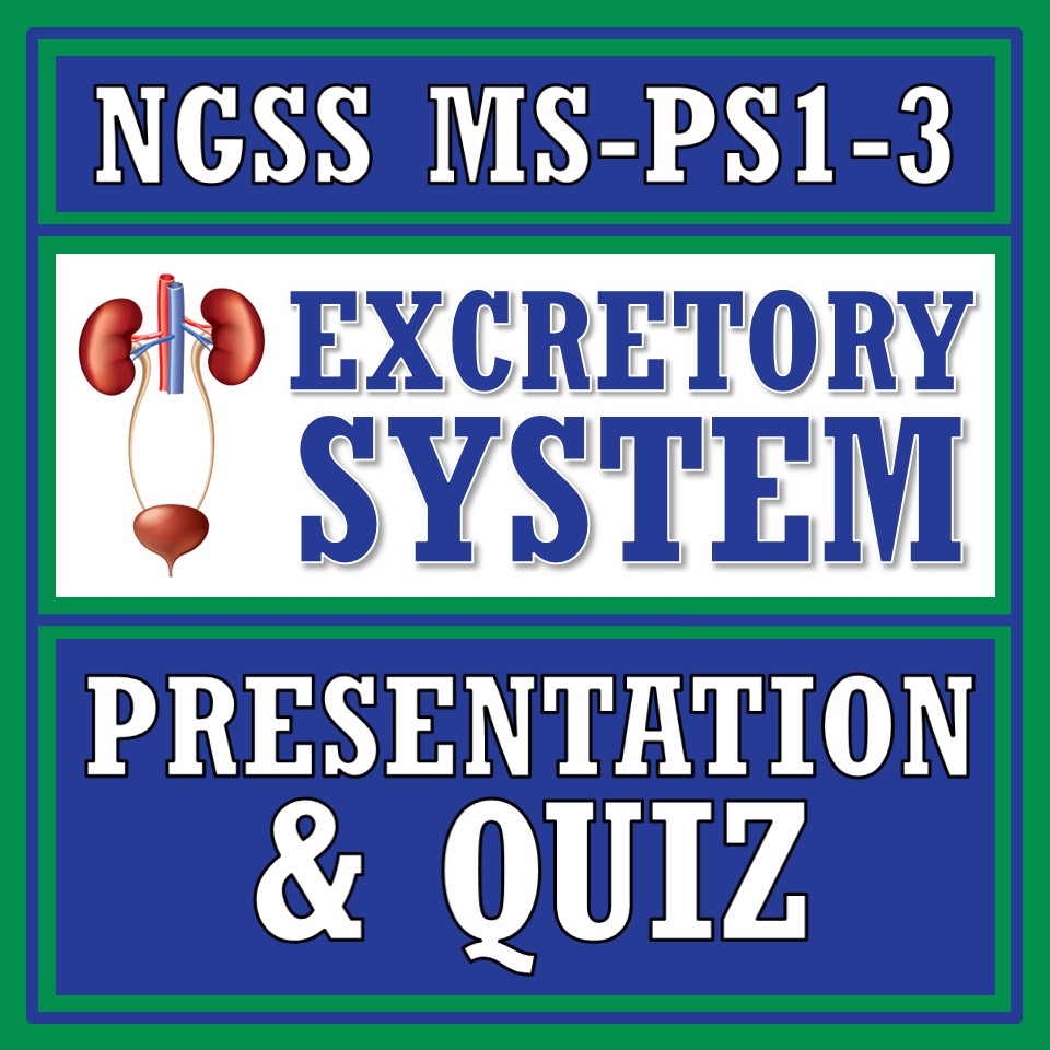 Excretory System Notes And Quiz Flying Colors Science