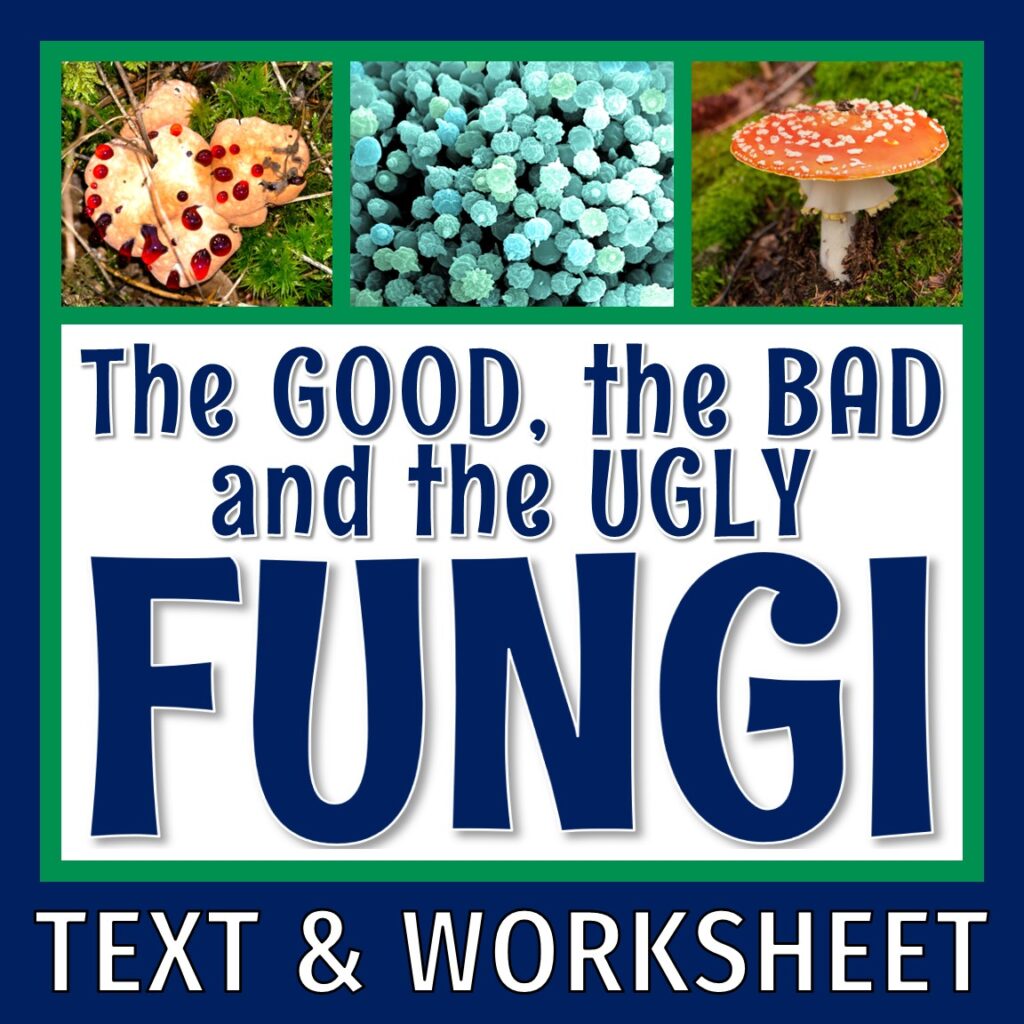 Fun Fungi Reading for Middle School - Flying Colors Science