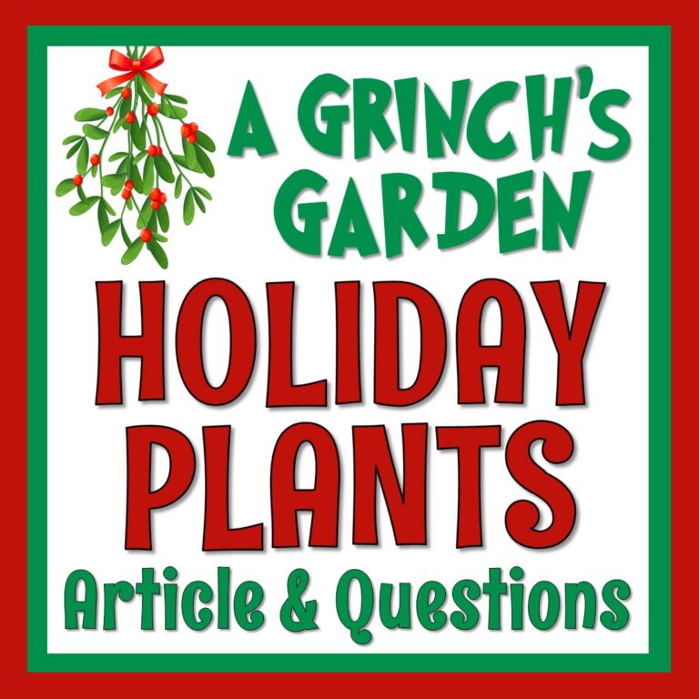 Christmas Science Activity: Plants of the Holiday Activity - Flying ...