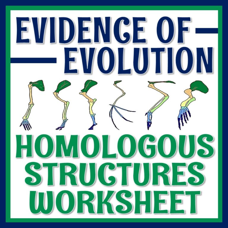 Evidence of Evolution: Homologous Structures Worksheet - Flying Colors ...
