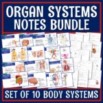 Set of 10 Human Body Organ Systems Notes - Flying Colors Science