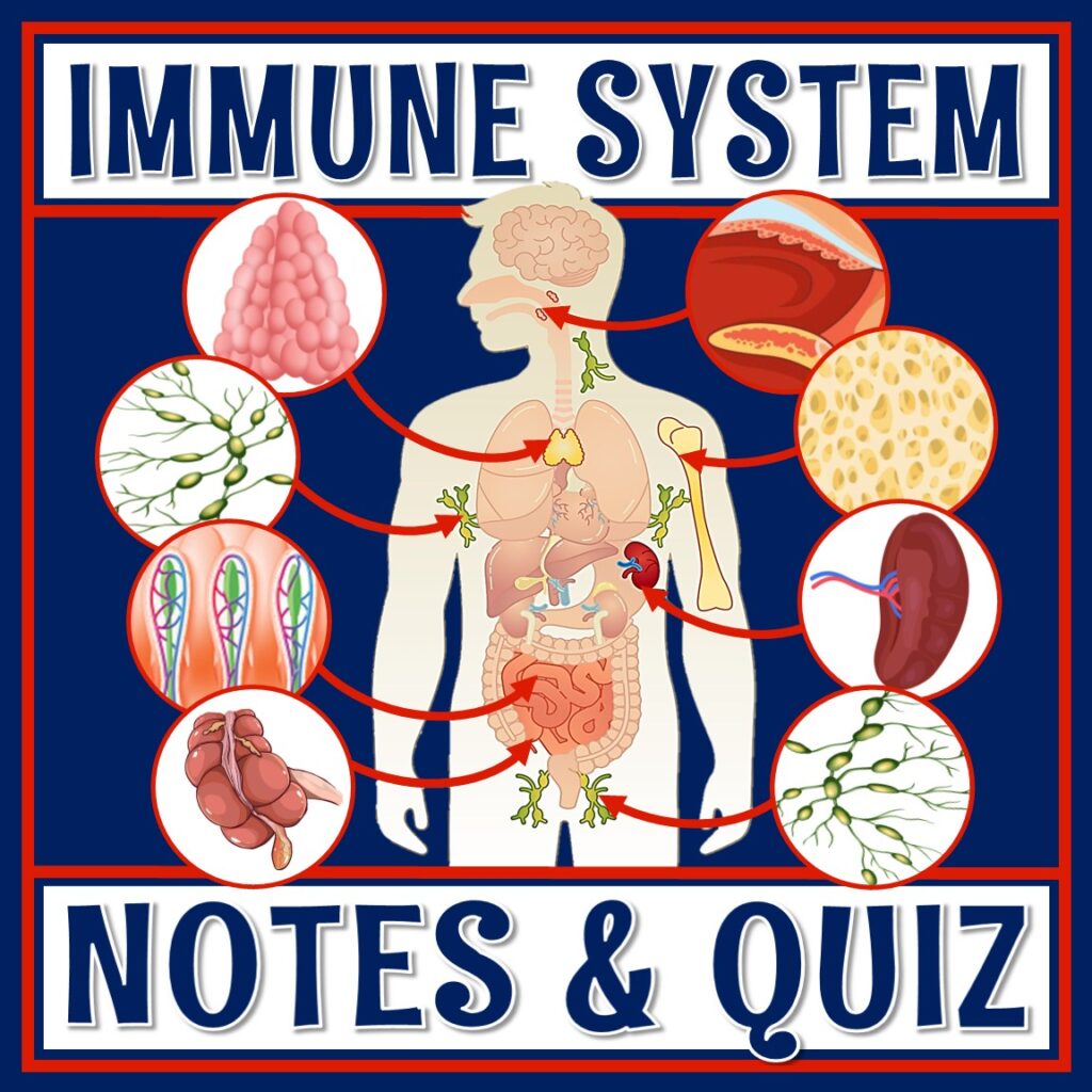 Immune System Notes and Quiz - Flying Colors Science