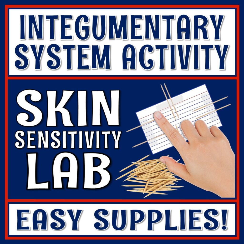 Integumentary System Activity: Skin Sensitivity Lab - Flying Colors Science