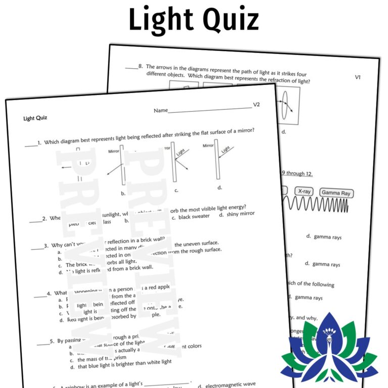 Waves Unit Notes and Assessments Bundle - Flying Colors Science
