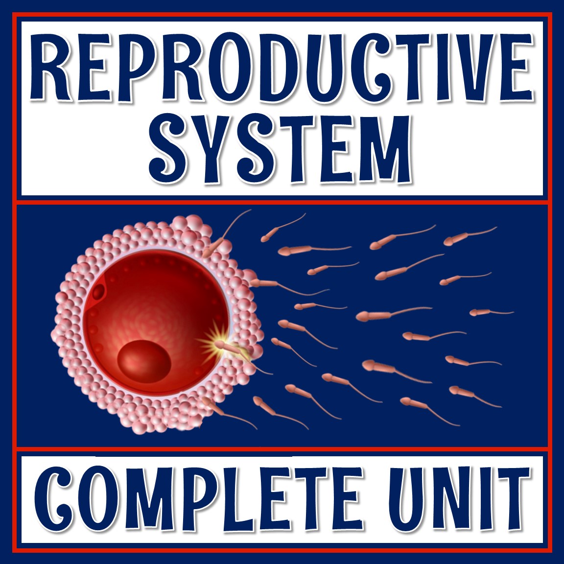 Reproductive System Unit Flying Colors Science Reproductive System Unit Flying Colors Science