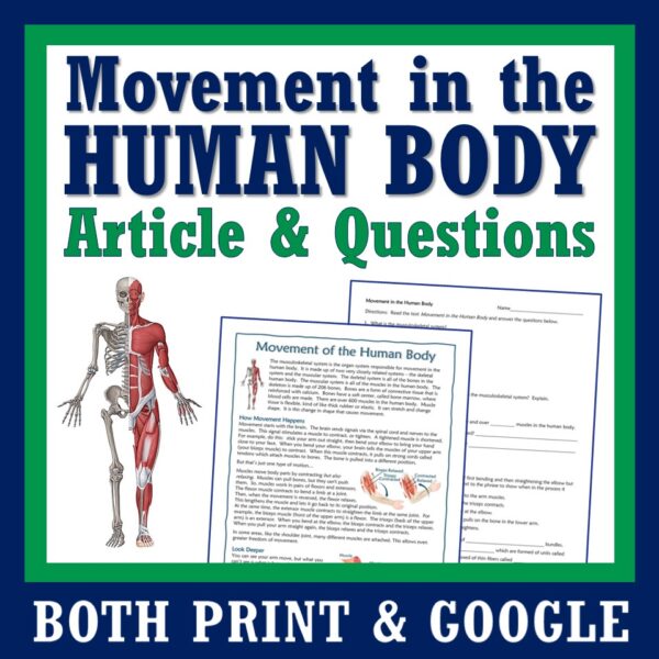 Movement in the Human Body Bones and Muscles Reading - Flying Colors ...