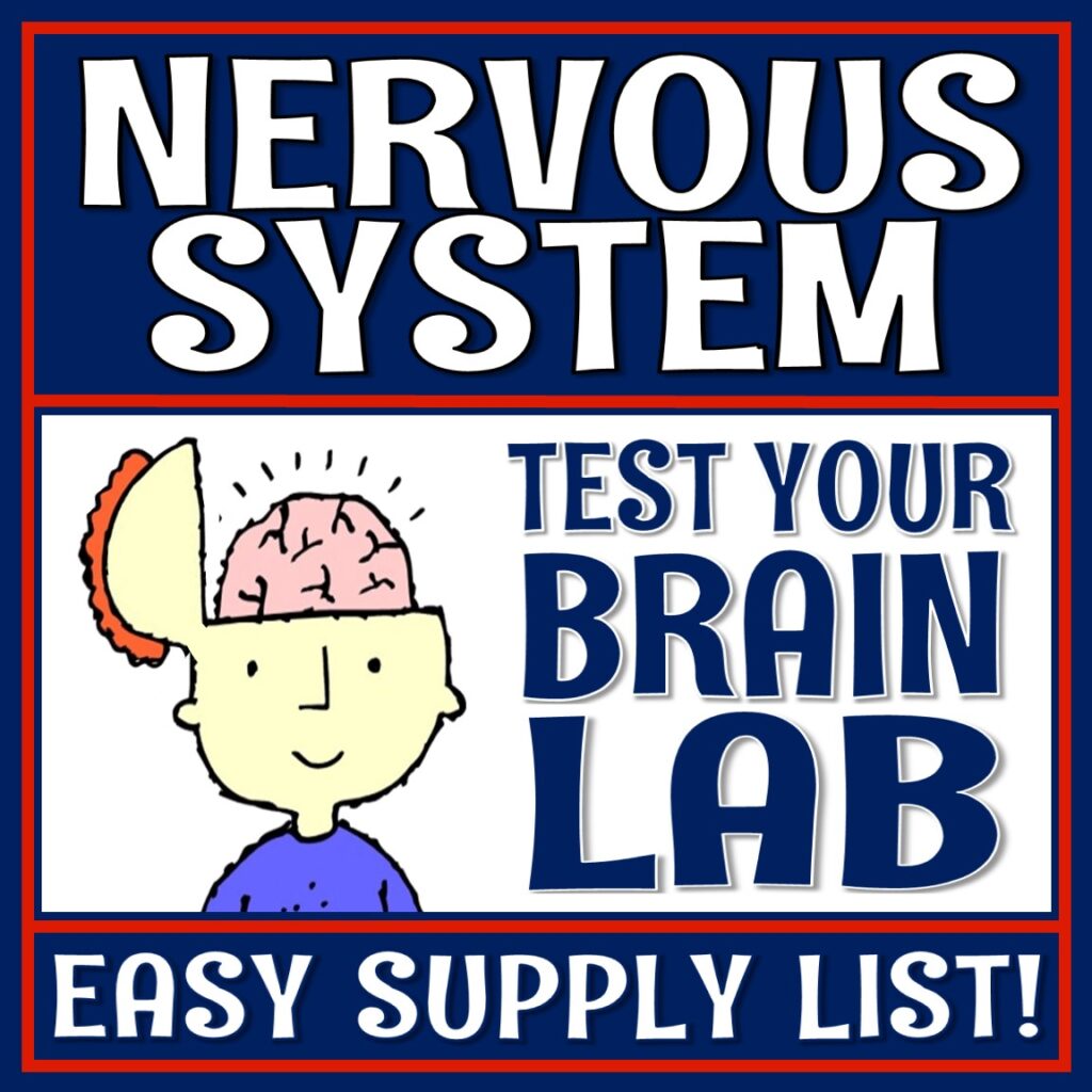 Nervous System Activity - Flying Colors Science