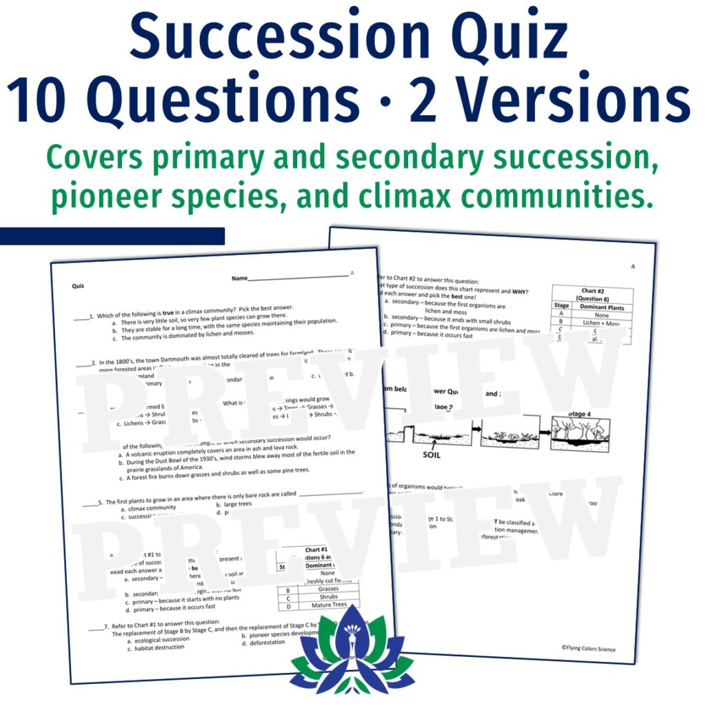 Ecosystems Assessments BUNDLE - Flying Colors Science