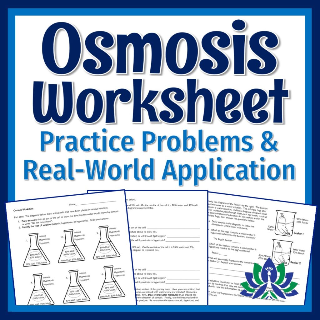 Osmosis Worksheet - Flying Colors Science