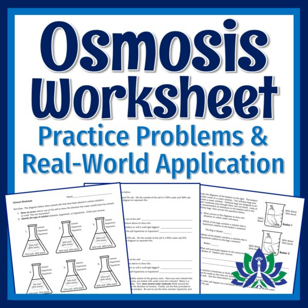 Osmosis Worksheet - Flying Colors Science