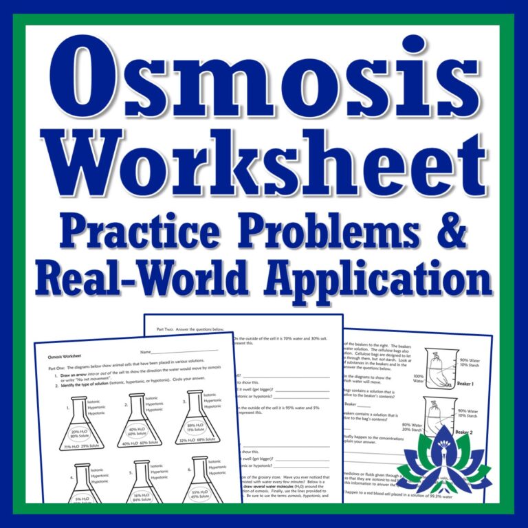 Osmosis Worksheet - Flying Colors Science