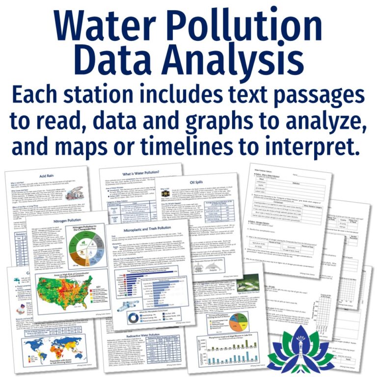 Human Impact on the Environment Activities MEGA BUNDLE - Flying Colors ...
