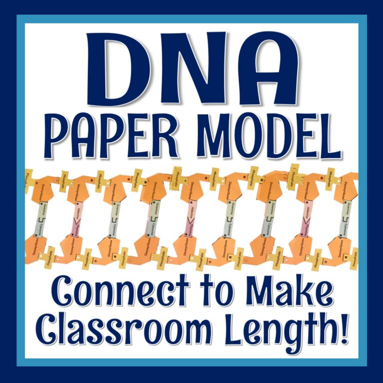 Paper DNA Model Project - Flying Colors Science