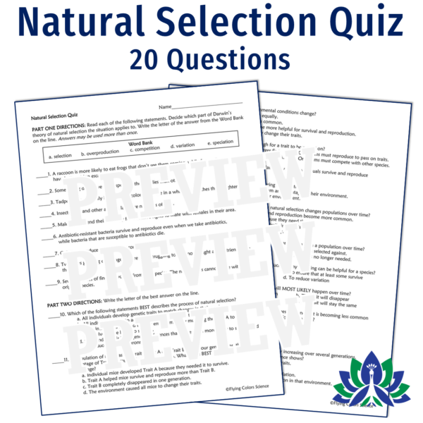 Natural Selection Notes and Quiz - Flying Colors Science