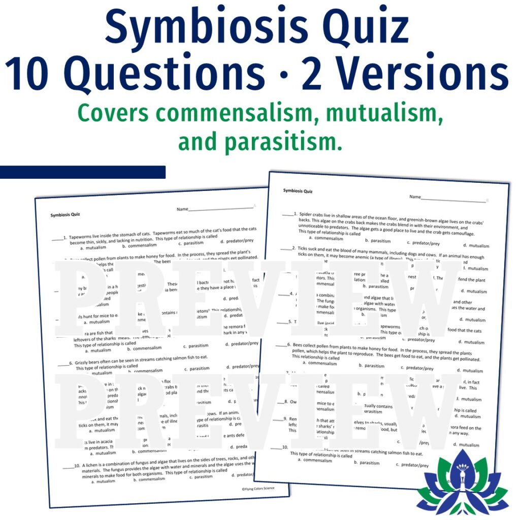 Ecosystems Assessments BUNDLE - Flying Colors Science