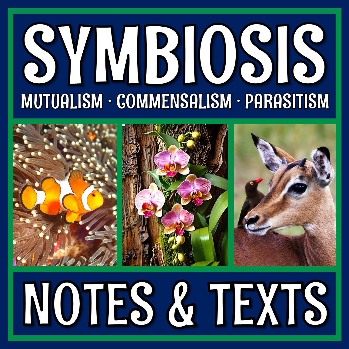 Symbiosis Reading Set with Worksheets - Flying Colors Science