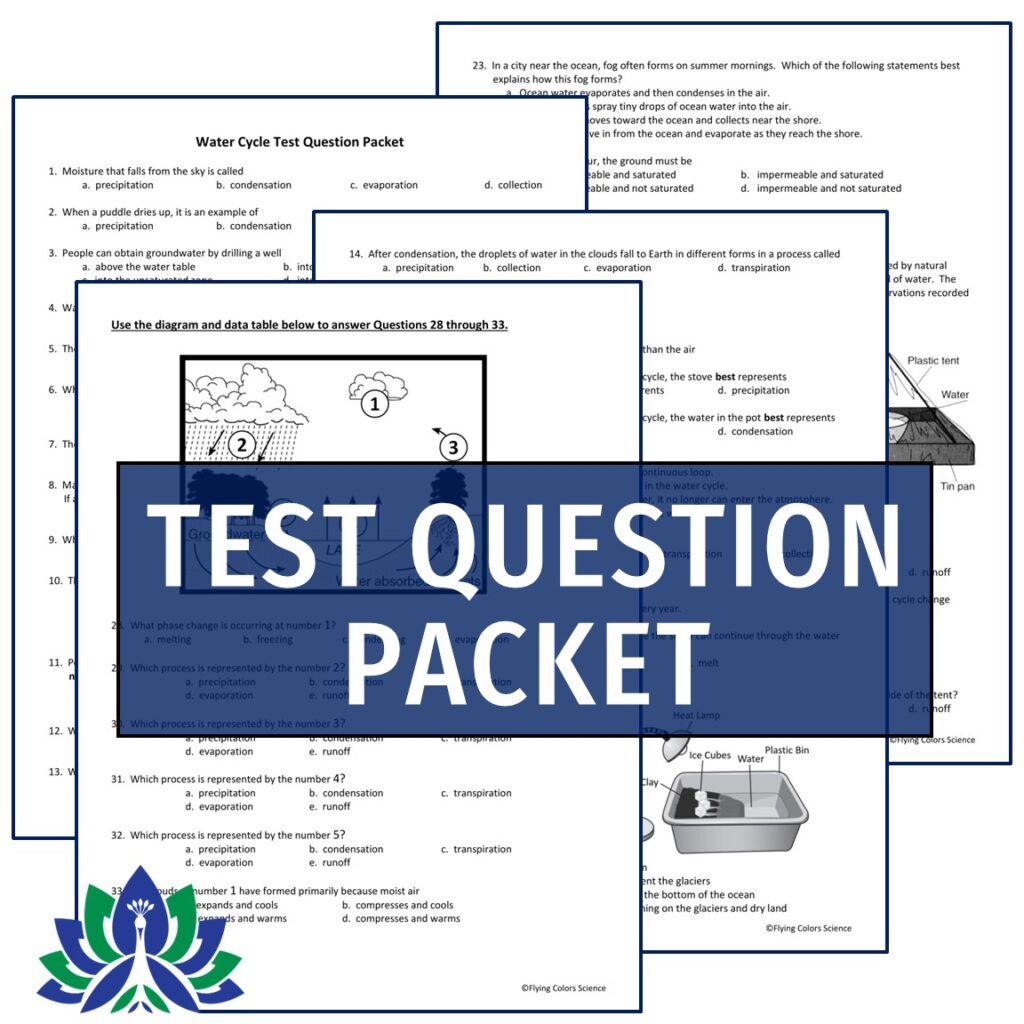 Water Cycle Test - Flying Colors Science