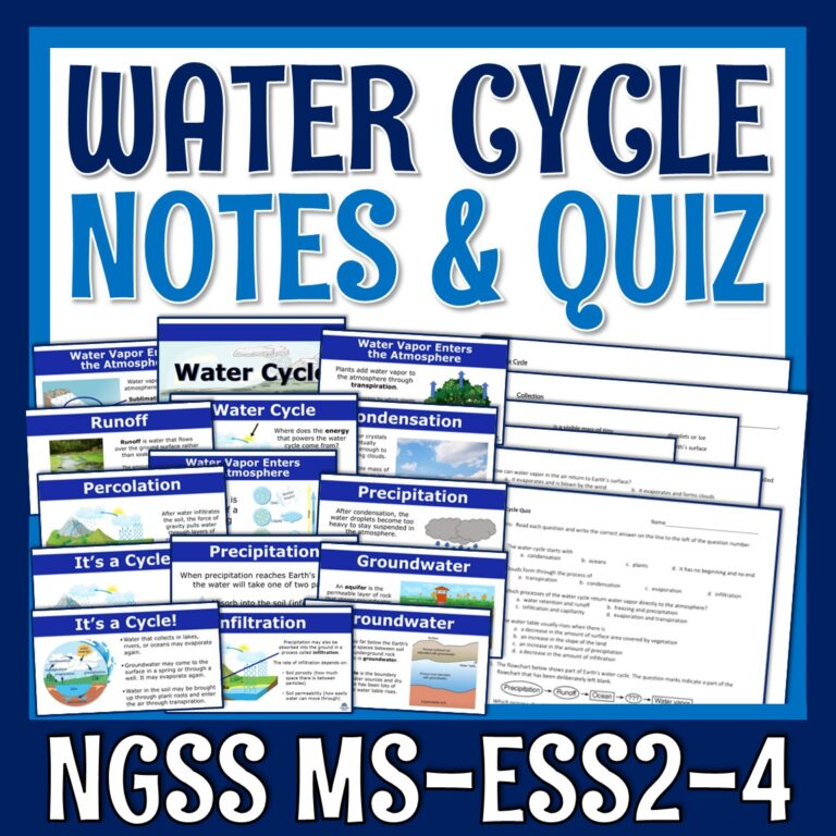 Water Cycle Notes and Quiz - Flying Colors Science