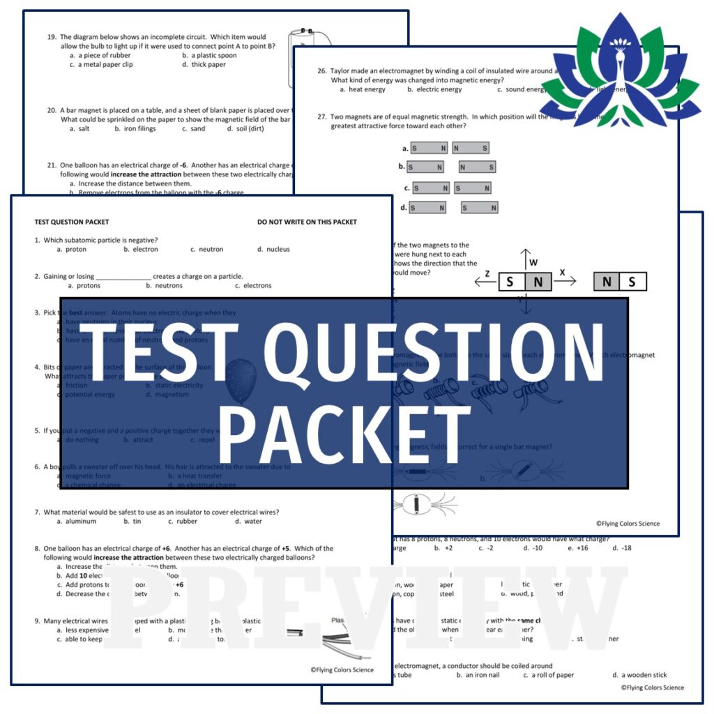 Static Electricity and Magnetism TEST - Flying Colors Science