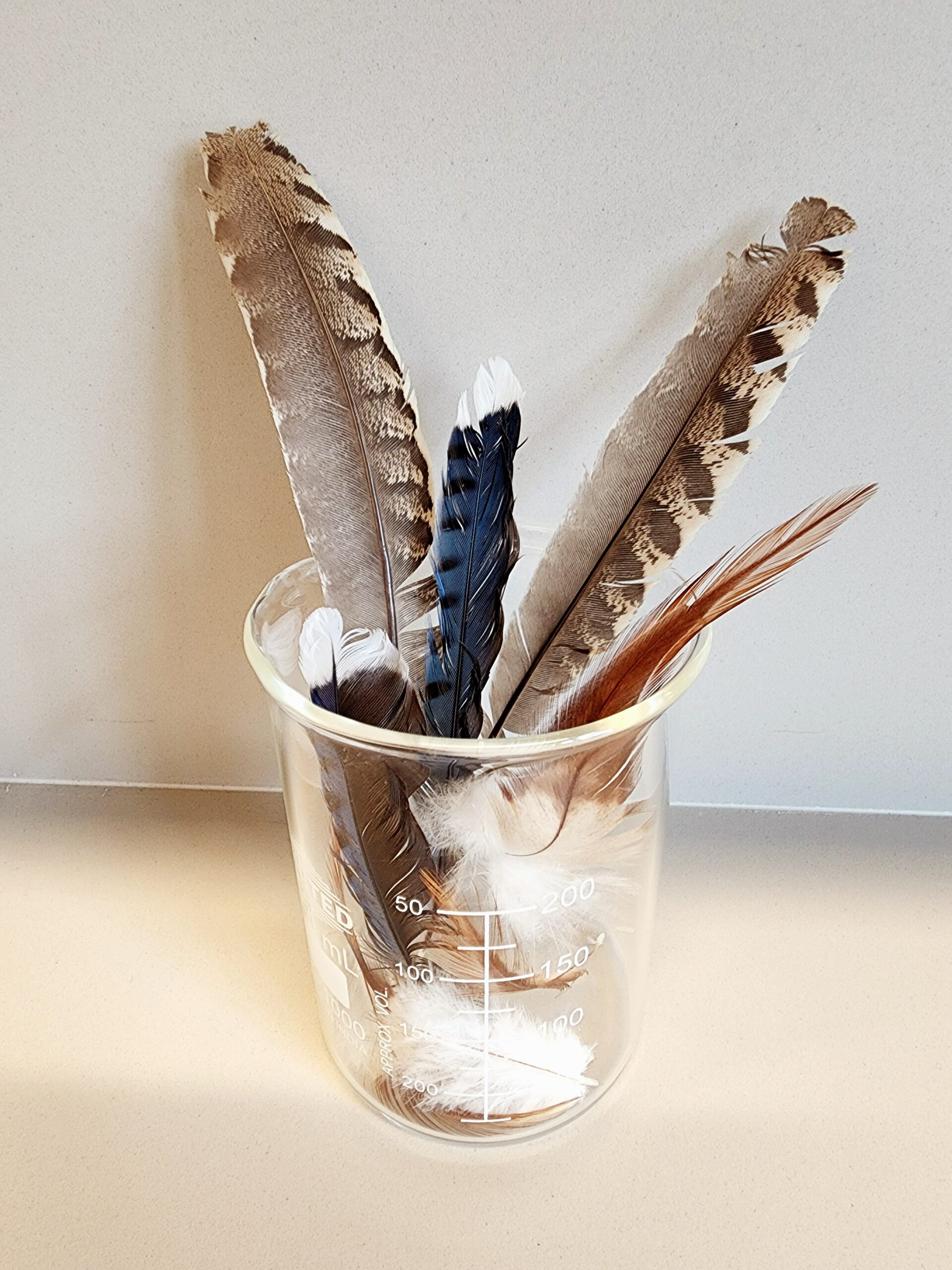 Science Classroom Decoration Ideas Flying Colors Science