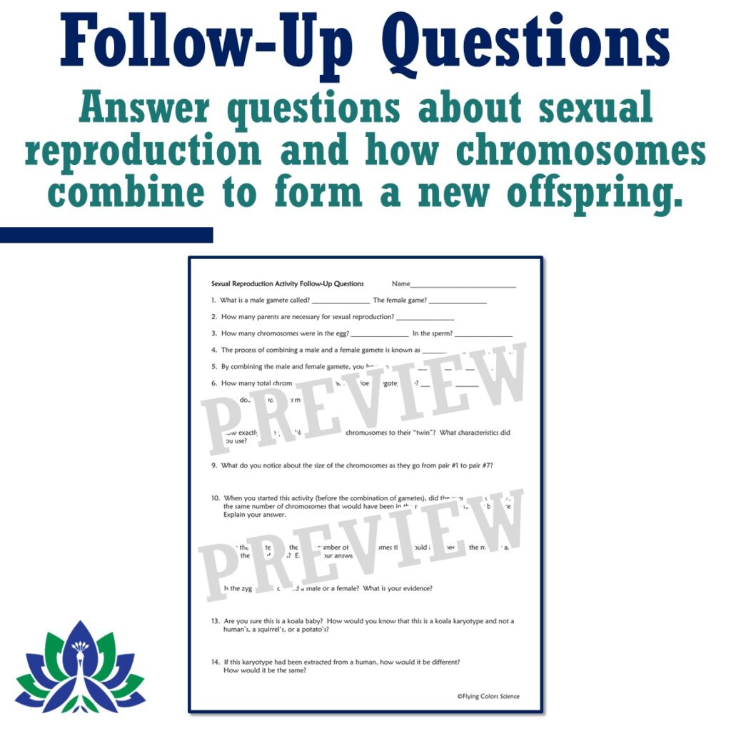 Sexual Reproduction Activity: Build a Karyotype - Flying Colors Science