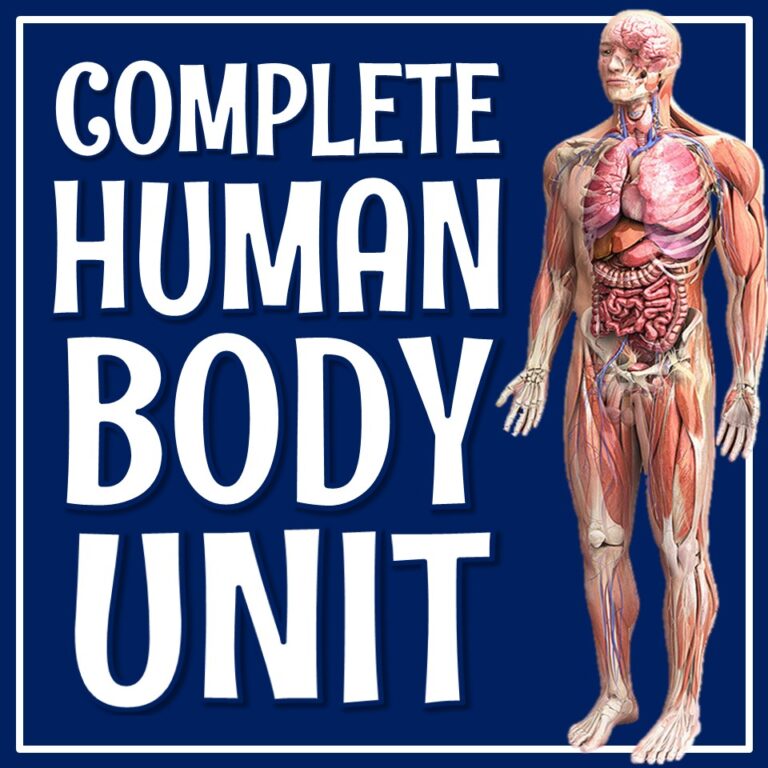 Human Body Organ Systems Unit - Flying Colors Science