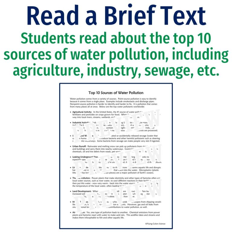 Water Pollution Worksheet - Flying Colors Science
