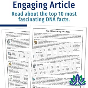 10 Fascinating DNA Facts Article and Questions - Flying Colors Science